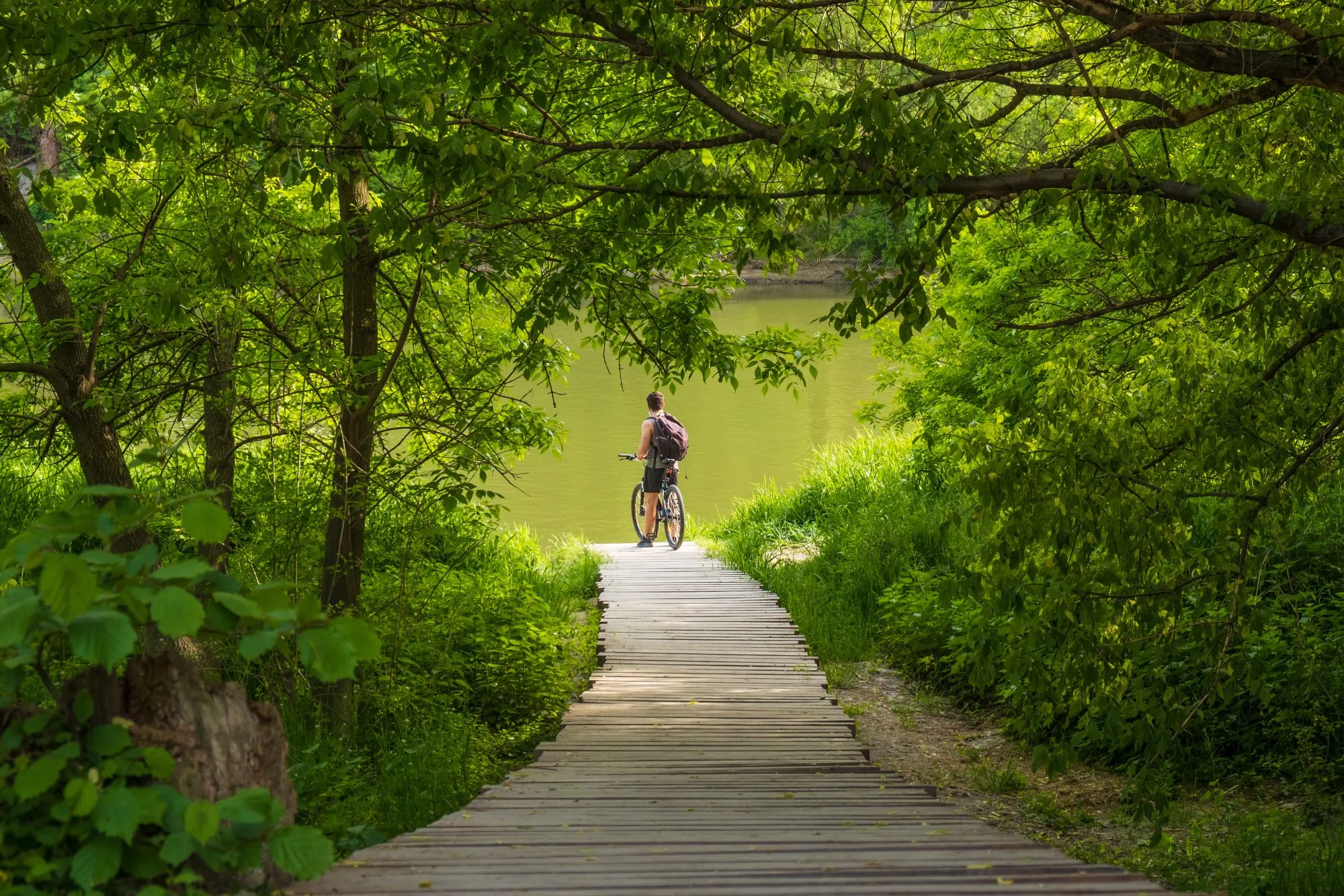 Danube Cycle Path: Vienna to Budapest - Cycling Holidays Austria