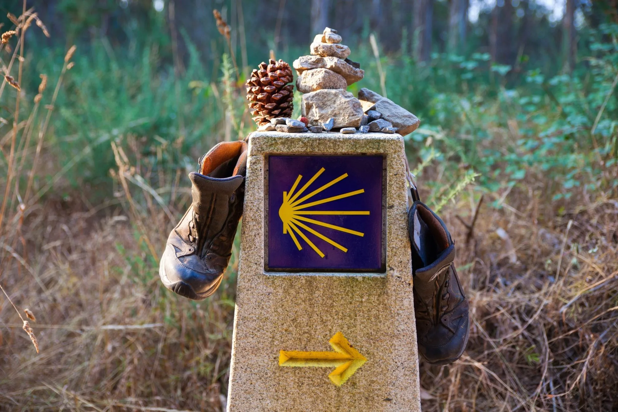 Camino Frances: The Ultimate Guide - Camino de Santiago Tours