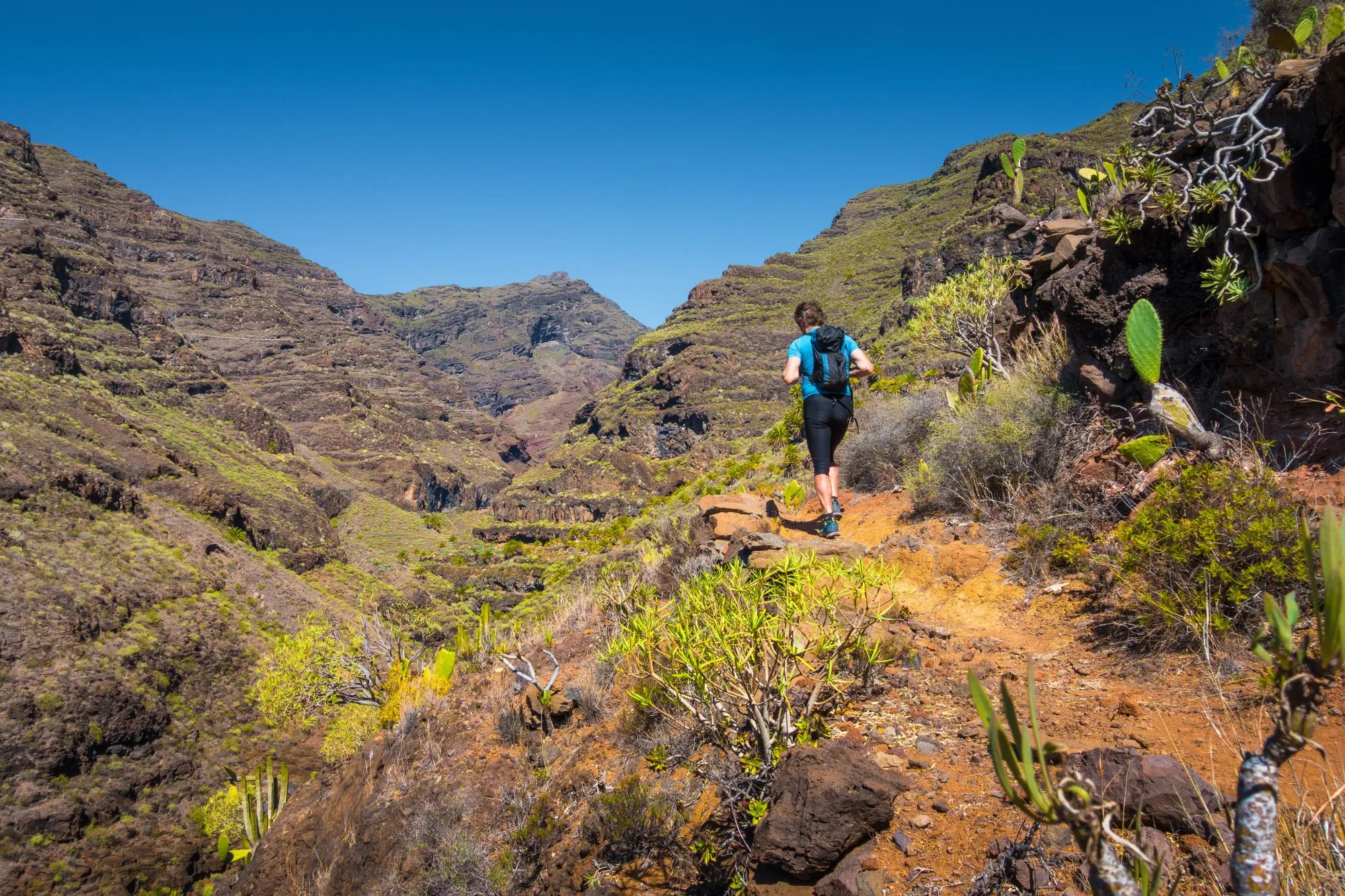 GR131 Gran Canaria - Hiking Tours
