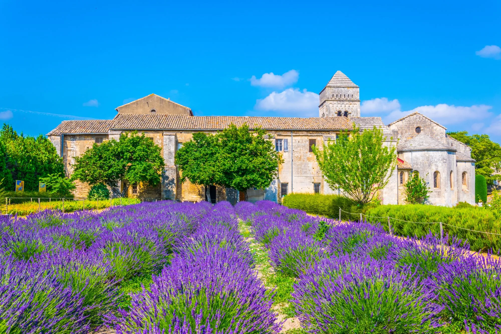 Van Gogh’s Pathways in Provence - Hiking Tours